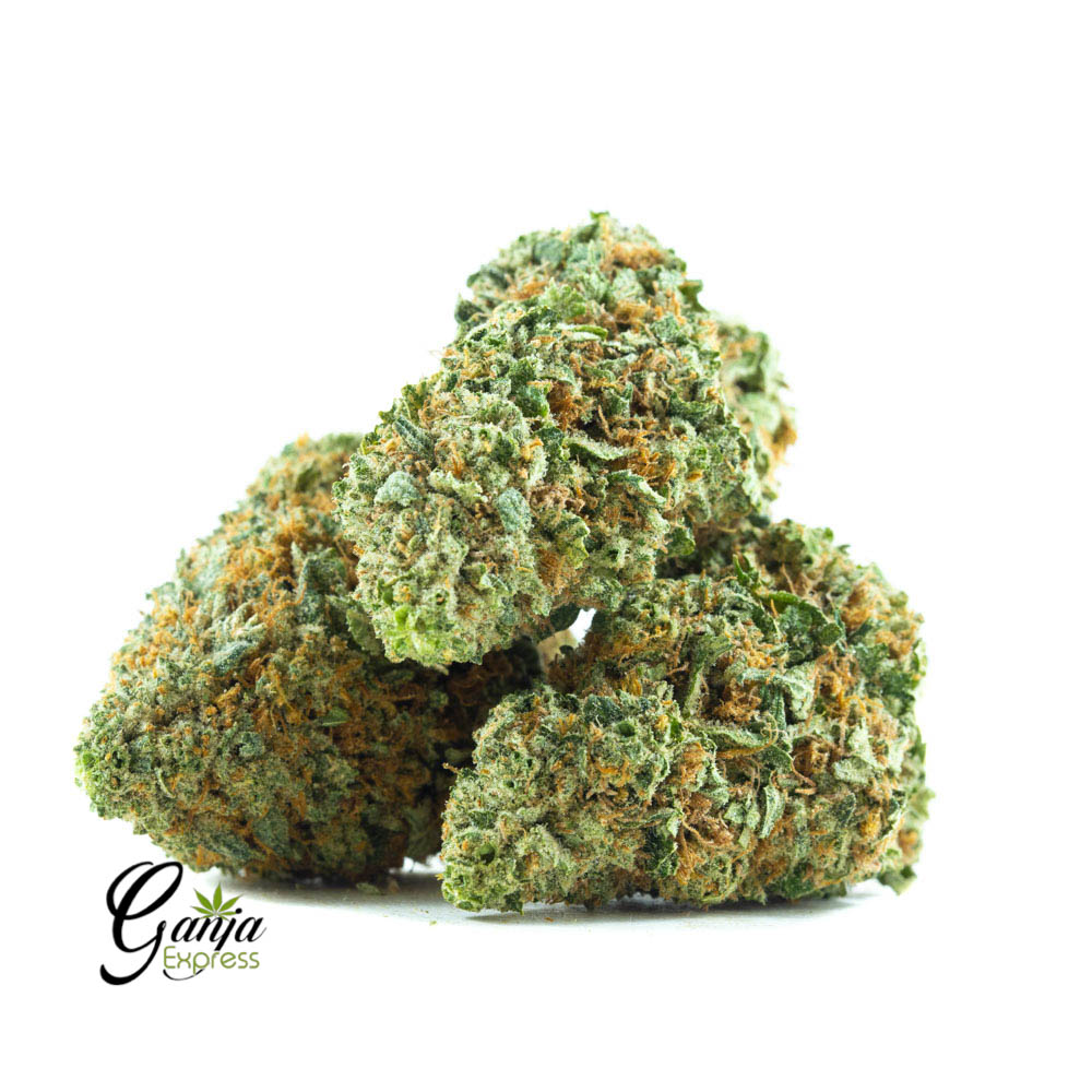 Buy $52 Oz - Dutch Treat Online Canada - Ganja Express